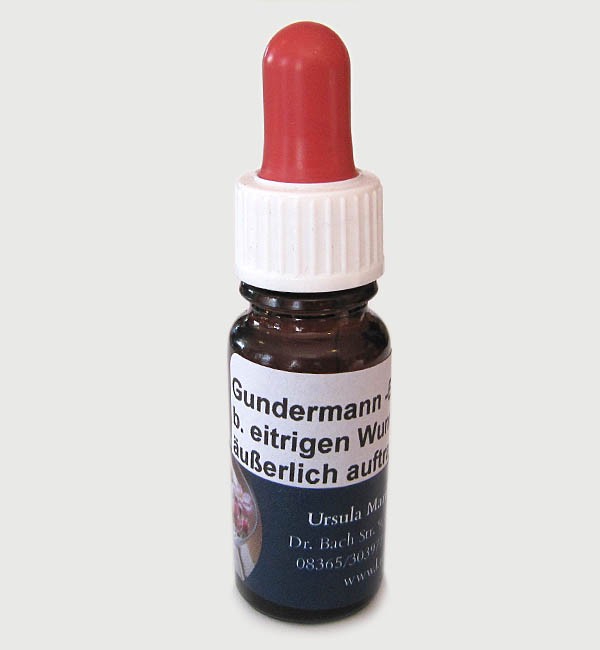 Gundermann - Elixier - Naturoase Wandelbar
